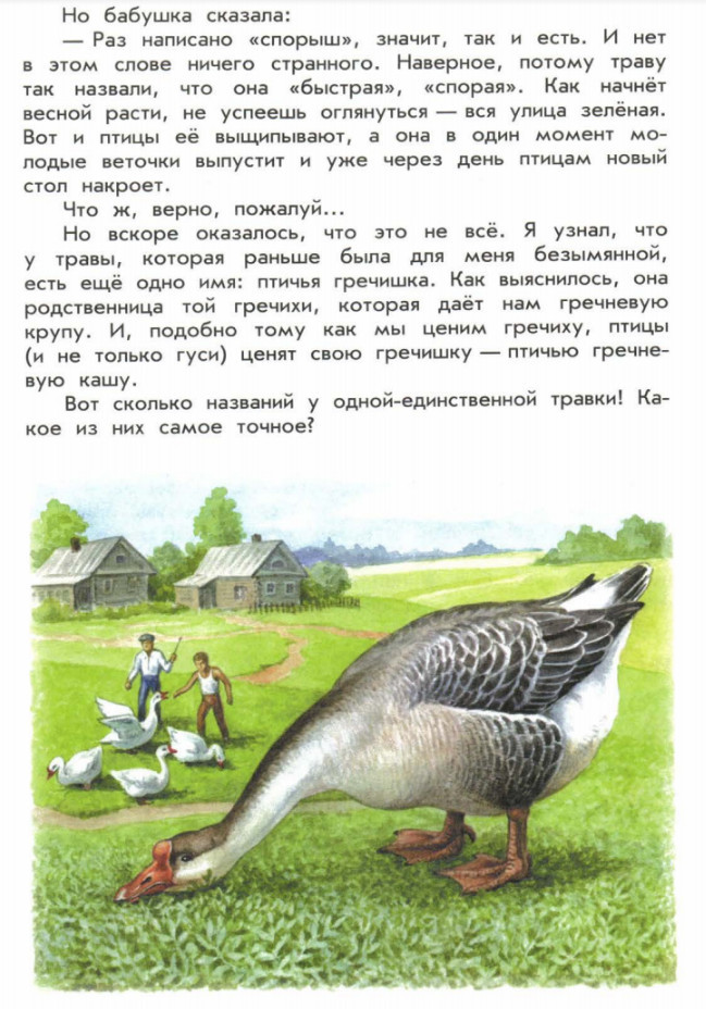 Книга Зеленые страницы. Растения - где читать онлайн?